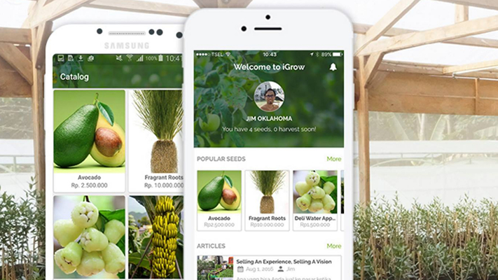 iGrow dan Sederet Masalahnya, Kabar PHK di Flash Coffee, dll